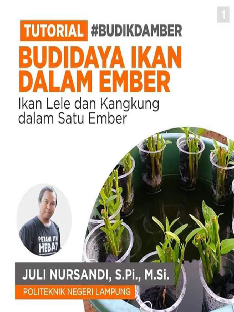 Budidaya Ikan Dalam Ember alias Budikamber | PDF