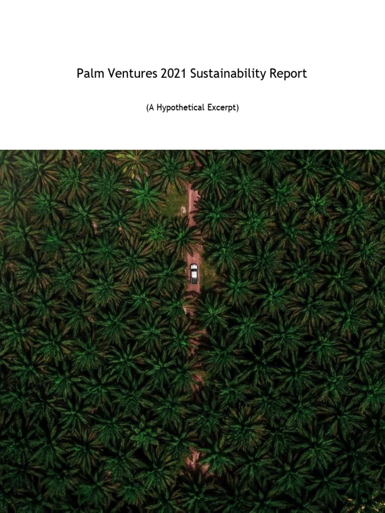 Palm Ventures 2021 Sustainability Report | PDF | Palm Oil | Supply Chain