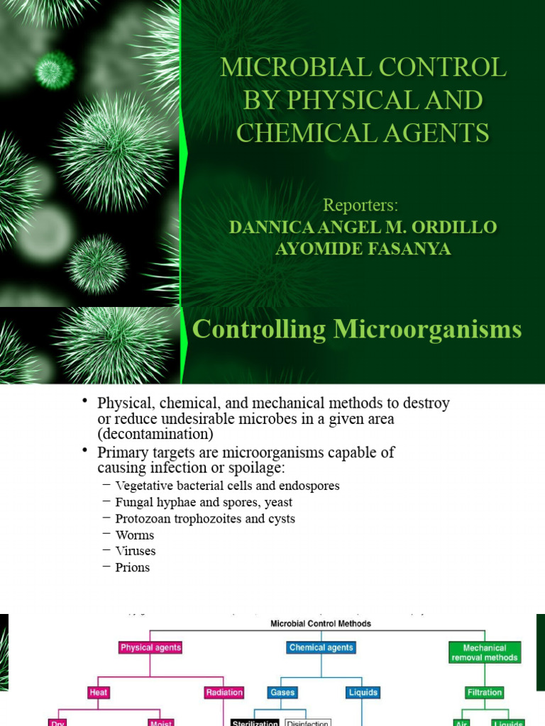 Bacteria Template 16x9 | PDF | Disinfectant | Antimicrobial