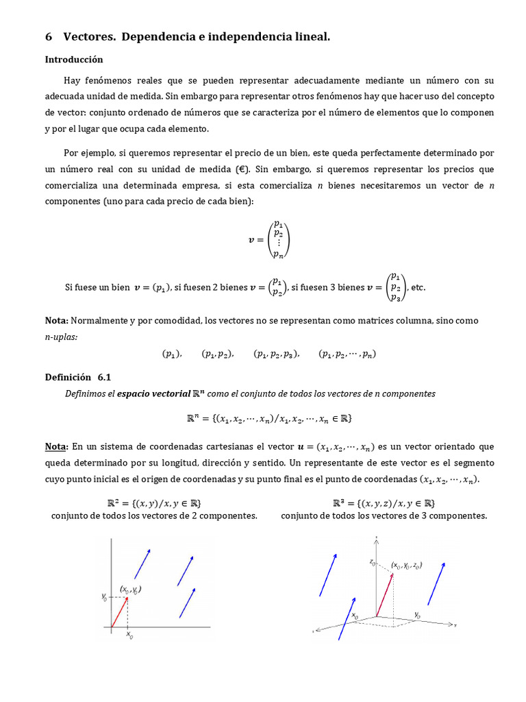 T10 Espacios Vectoriales | PDF | Espacio vectorial | Vector Euclidiano