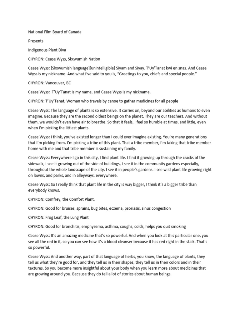Transcript-Indigenous Plant Diva | PDF