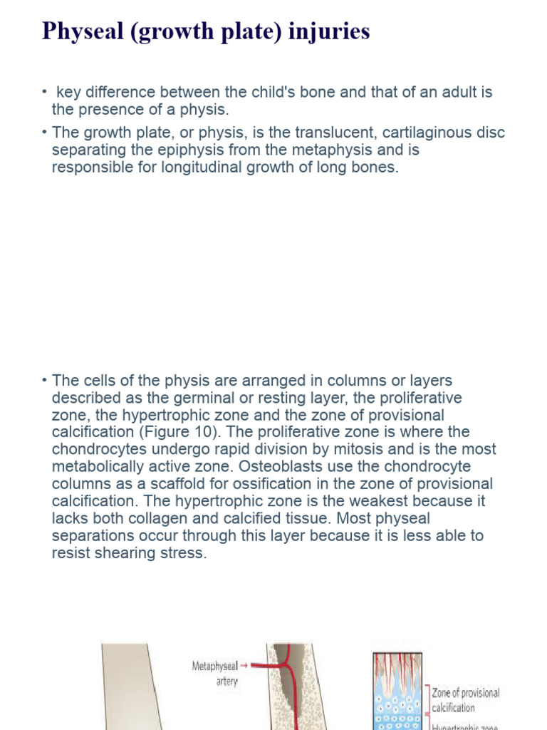 Physeal (Growth Plate) Injuries-1 | PDF | Bone | Musculoskeletal System