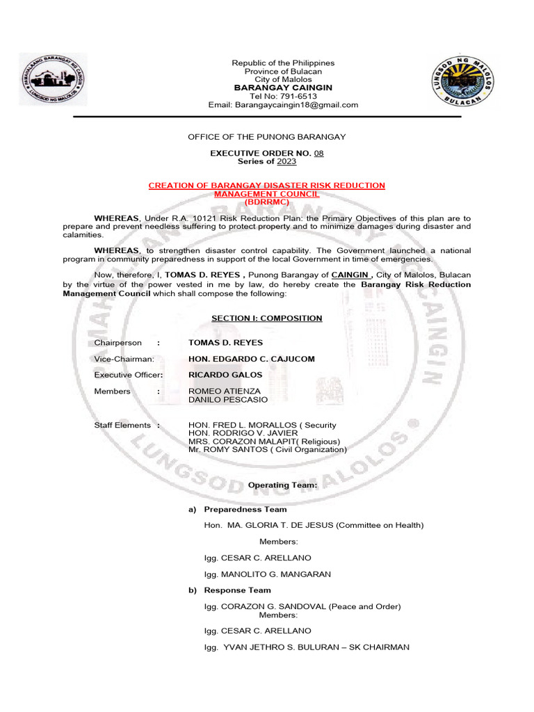1E.O TR 08-2018 (BDRRMC) Brgy. Risk Reduction Management Council | PDF