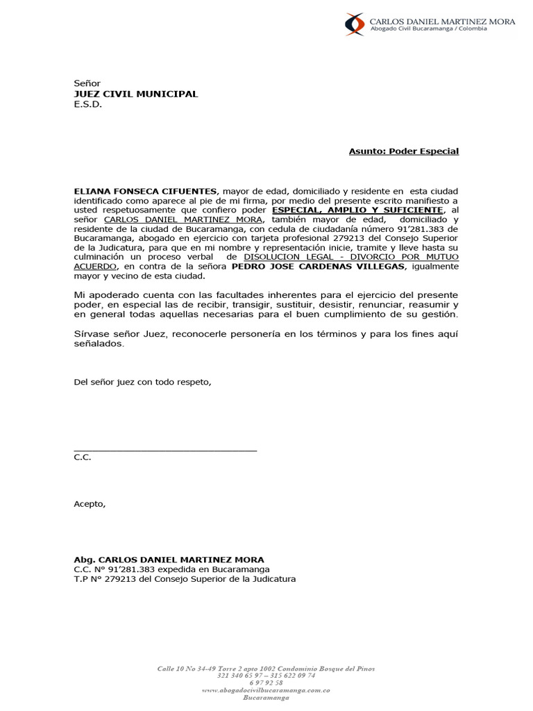 Poder Especial | PDF