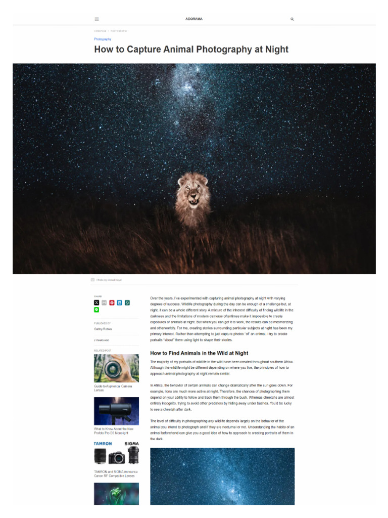 Capture Animal Photography at Night Guide | PDF
