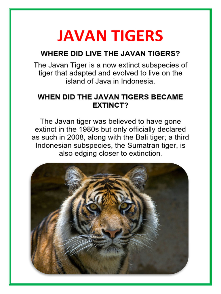 Javan Tigers | PDF