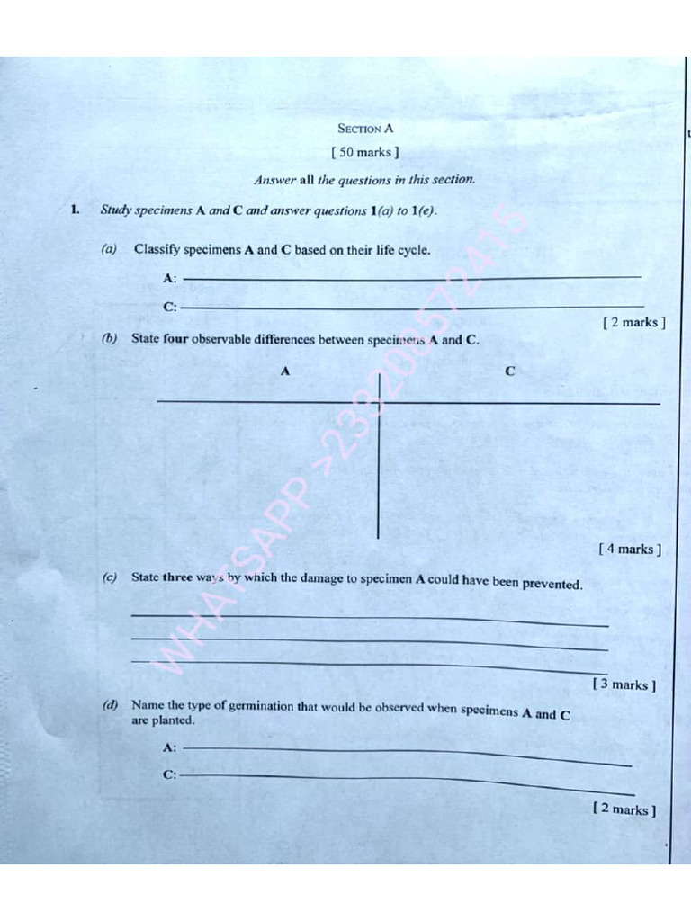 2022 Biology Practicals Questions & Answers Whatsapp +233208572415 | PDF