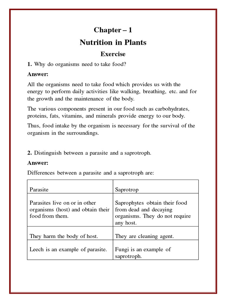 Class 6 Chapter 1 notes | PDF | Photosynthesis | Leaf