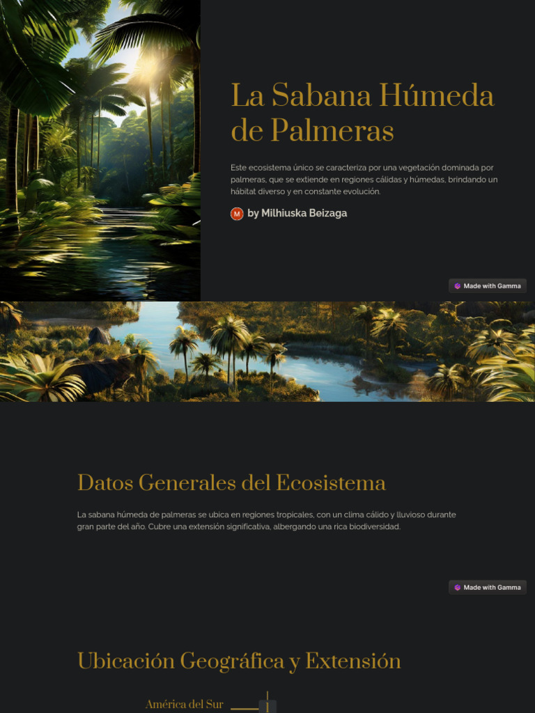La Sabana Humeda de Plameras Avance 2 | PDF | Deforestación ...