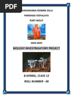 Biology Investigatory Project | PDF | Fertilizer | Plants