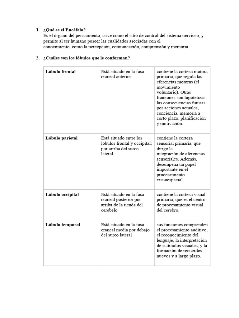 Guia Anatomia Final Lab 1. Encefalo | PDF | Fluido cerebroespinal | Cerebelo
