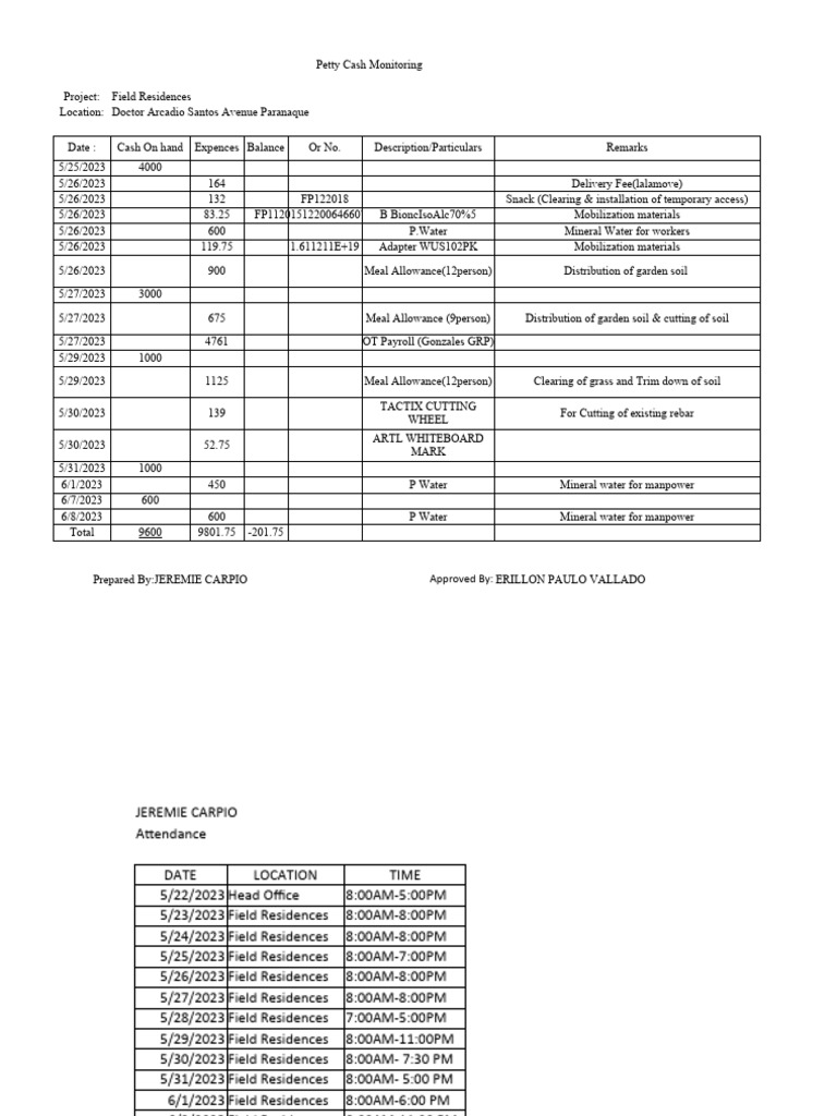 Petty Cash Monitoring 'Jeremie | PDF