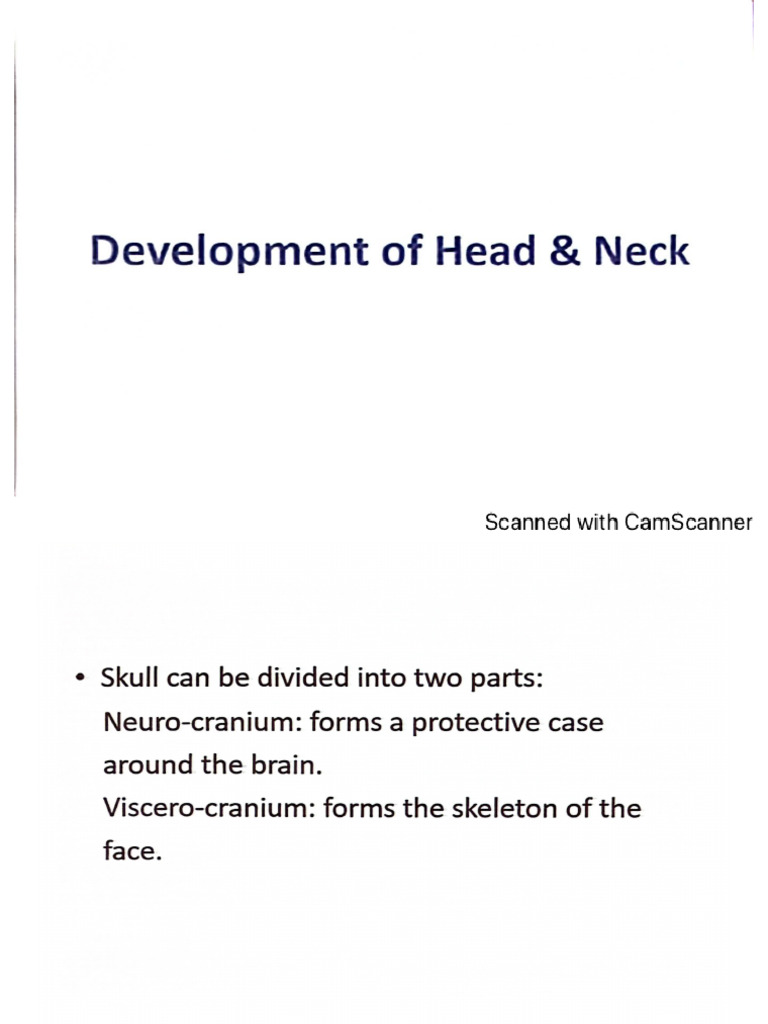 EMBRYOLOGY - Development of Head & Neck | PDF
