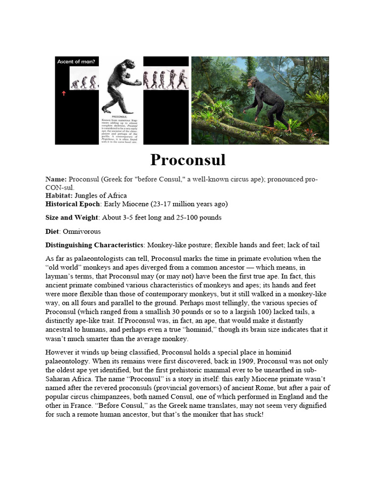 PROCONSUL | PDF | Ape | Zoology