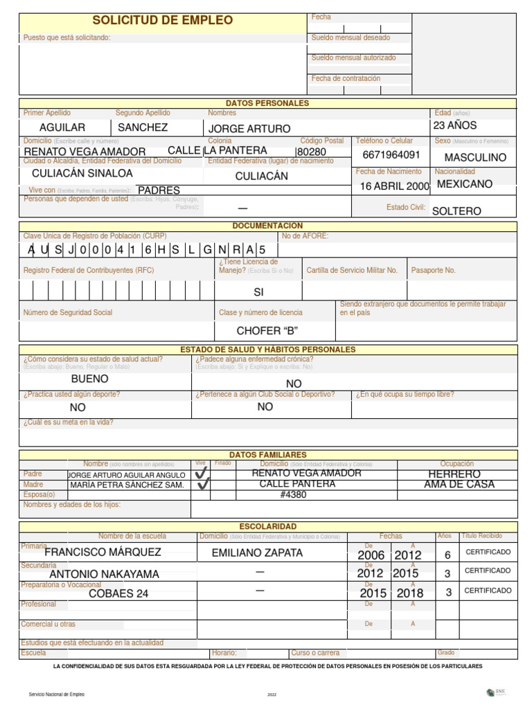 Sne Solicitud de Empleo Plantilla PDF | PDF