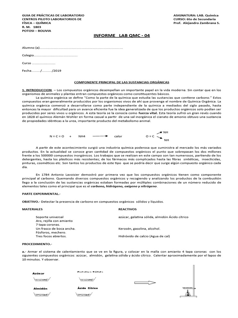 Informe LAB QMC - 04 Componente Principal de Las Sustancias Organicas | PDF | Compuestos ...