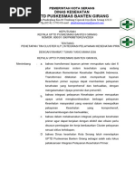 SK Struktur Organisasi Dan Tim Kerja Ilp Puskesmas Buleleng Iii | PDF