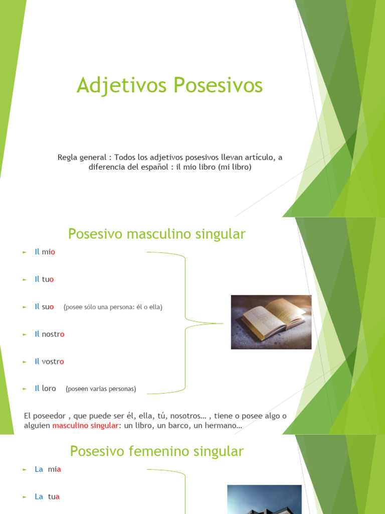 Adjetivos Posesivos | PDF | Lingüística | Relaciones sintácticas