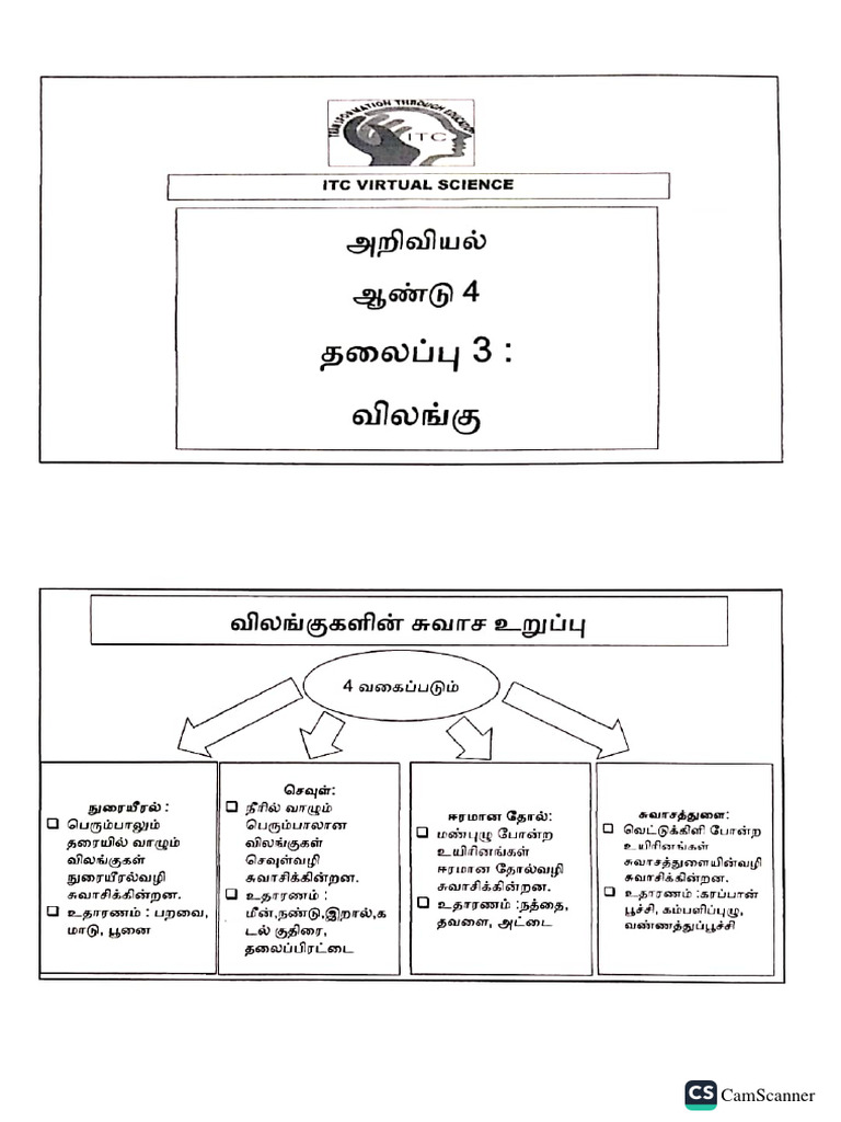 April SN Year 4 | PDF