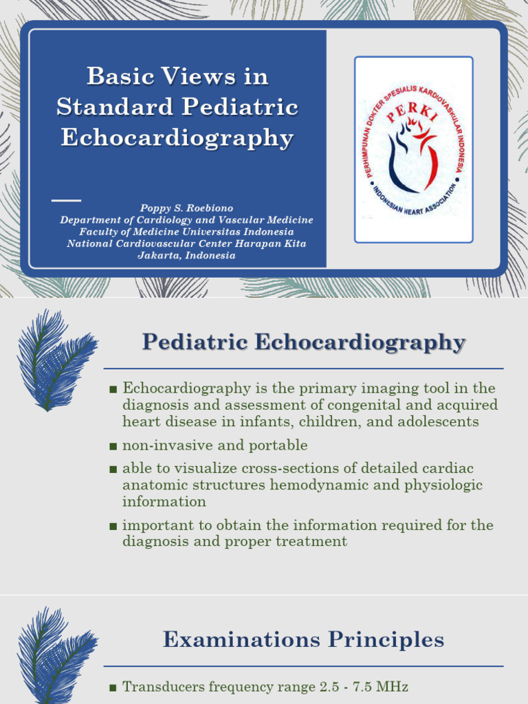 Pediatric Echocardiography Views Guide | PDF | Heart Valve | Atrium (Heart)