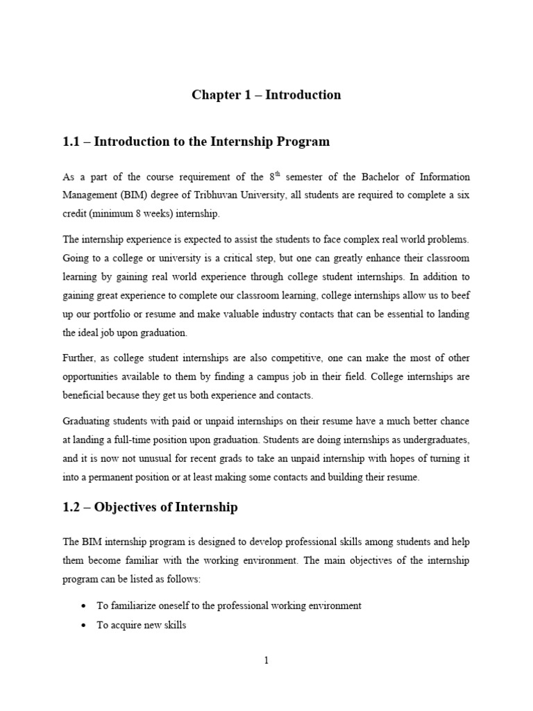 8Th Sem Internship Report Bim | PDF | Internet Protocols | Computer Network