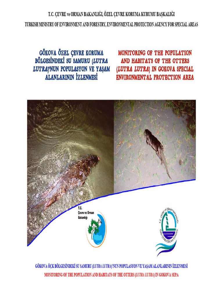 Su - Samuru - NG L Zce - Turkce 20191128075914 | PDF