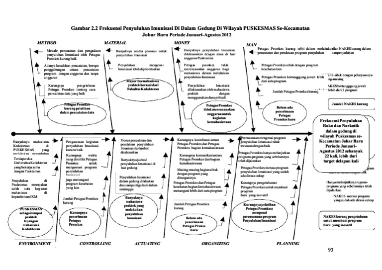 Imunisasi Fishbone | PDF