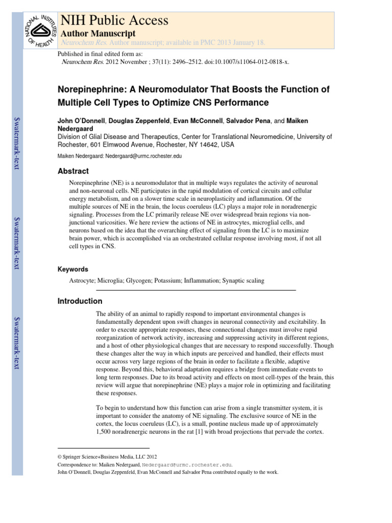 Norepinephrine A Neuromodulator That Boosts The Function of Multiple ...