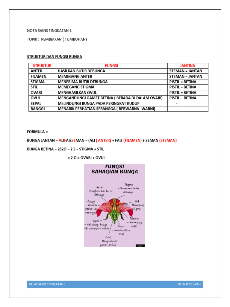 Nota Sains Tingkatan 1 | PDF
