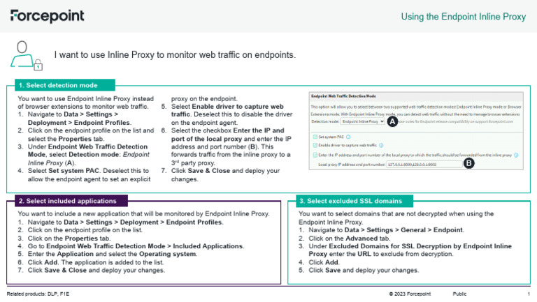 Using The Endpoint Inline Proxy Pdf Proxy Server Transport Layer Security