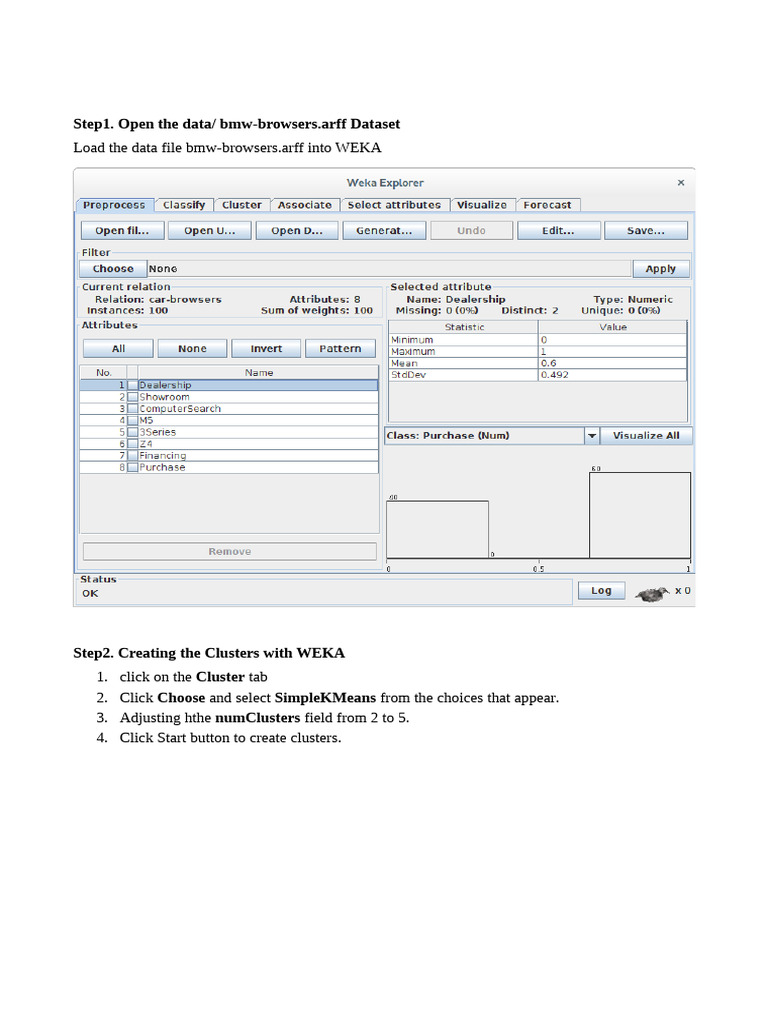 Clustering On Weka Tool | PDF | Bmw