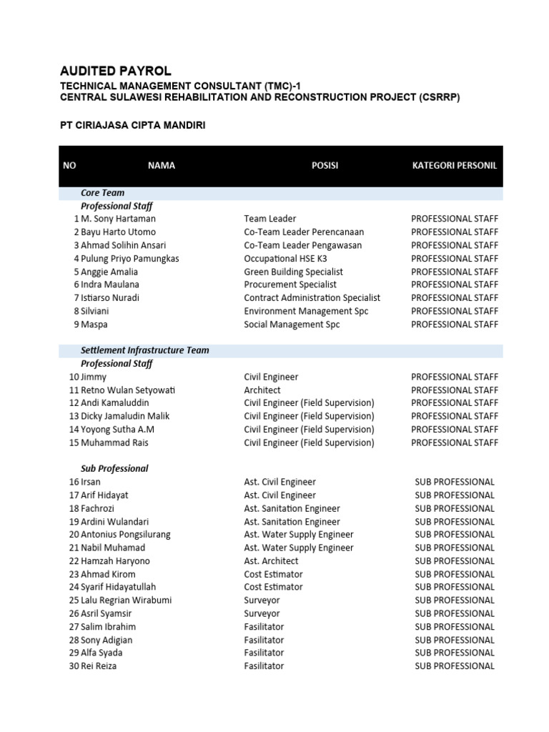 Audit Payroll - TMC Palu 2024 | PDF | Civil Engineering | Engineering