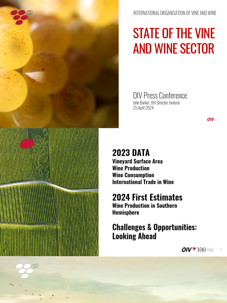 2024 OIV April PressConference PPT | Download Free PDF | Wine | Vineyard