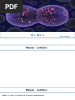 Meiosis Topic Test Final | PDF | Meiosis | Ploidy