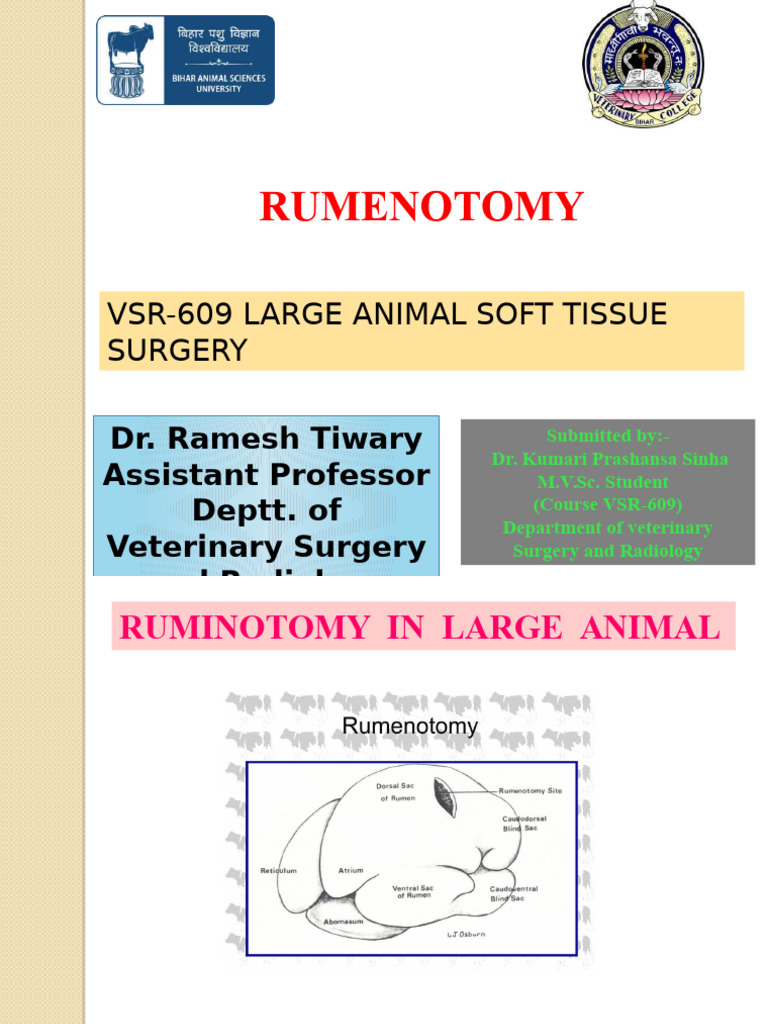RUMENOTOMY | PDF | Surgical Suture | Peritoneum