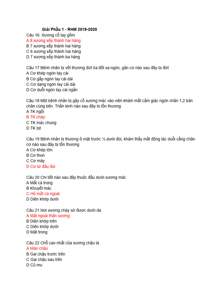 bản sao GP1 R1920 | PDF