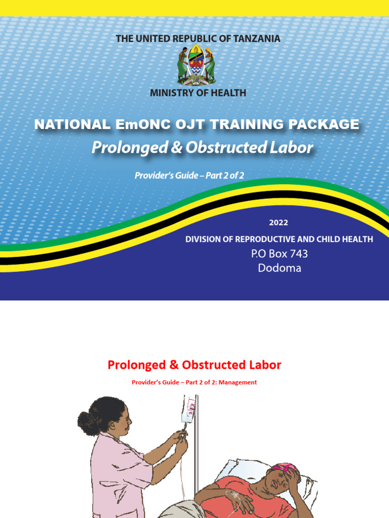National EmONC P&OL Provider's Guide Part 2 of 2 | PDF | Childbirth ...