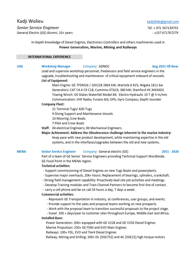 CV+Kadji+Wolieu+Senior+Service+Engineer | PDF | Engines | Engineering