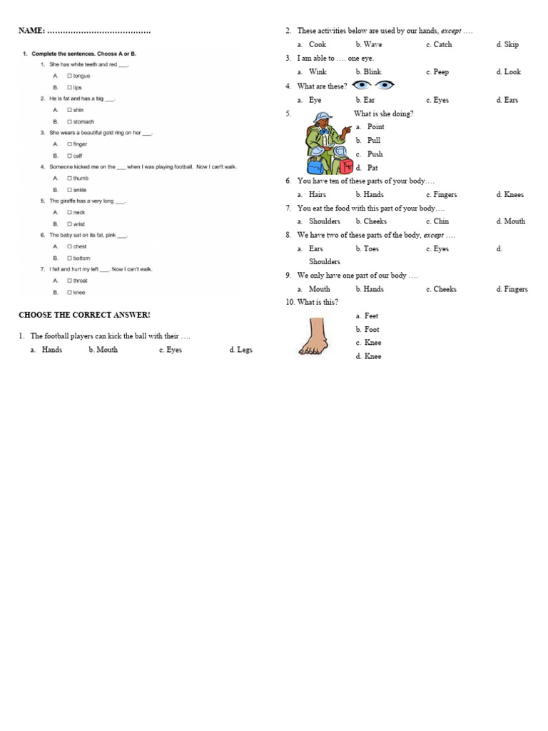 Function Part of Body 04 | PDF