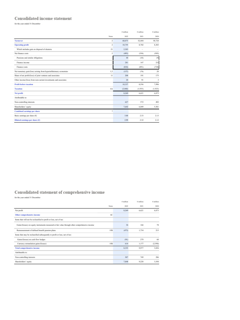 Consolidated Financial Statements 2022 | PDF | Dividend | Treasury Stock