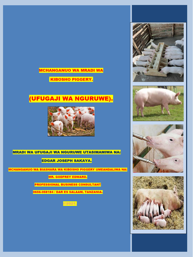 Kibosho Piggery Business Plan | PDF