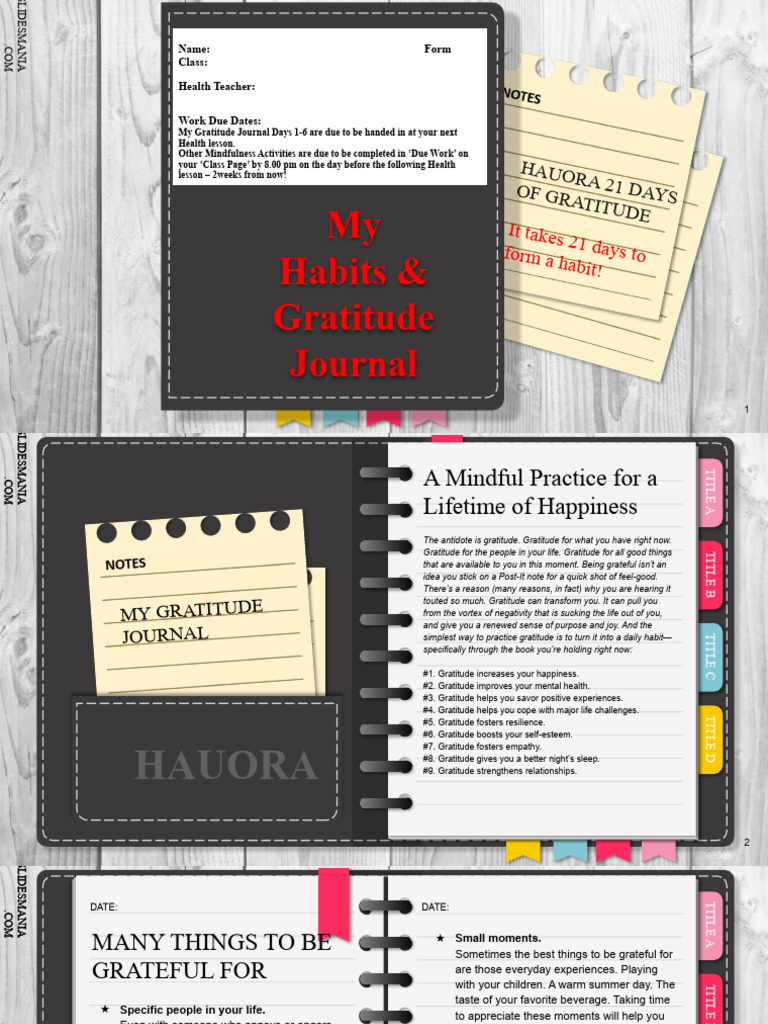 Lesson 2 Student My Gratitude Journal 2023 | PDF | Gratitude | Psychology