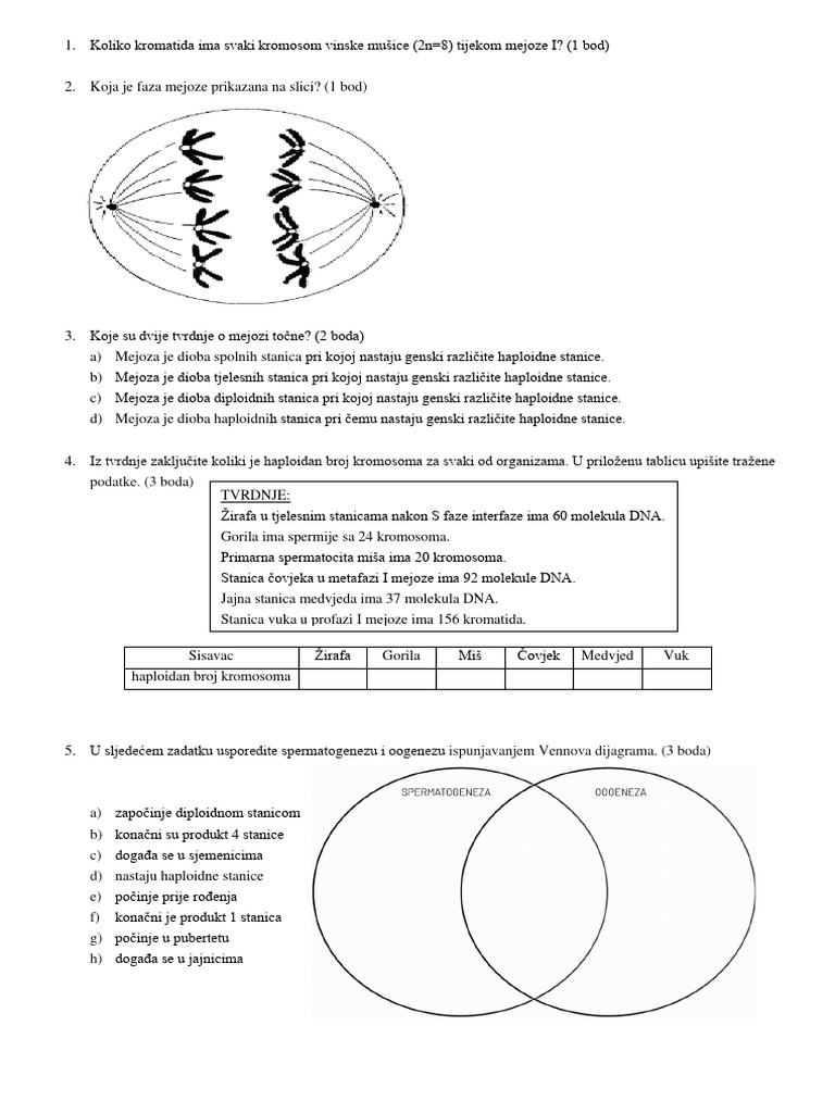 Edutorij 1 I 3 (Mejoza) | PDF