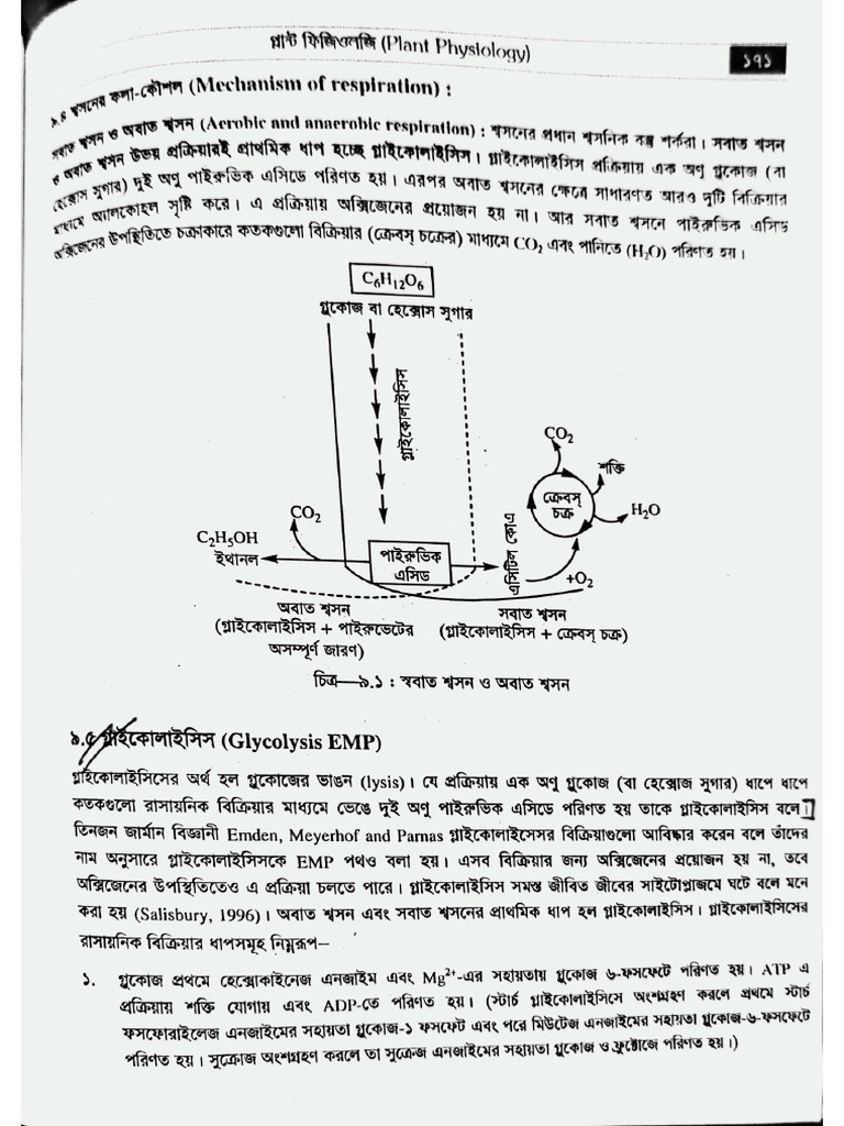 C3 Cycle 3 | PDF