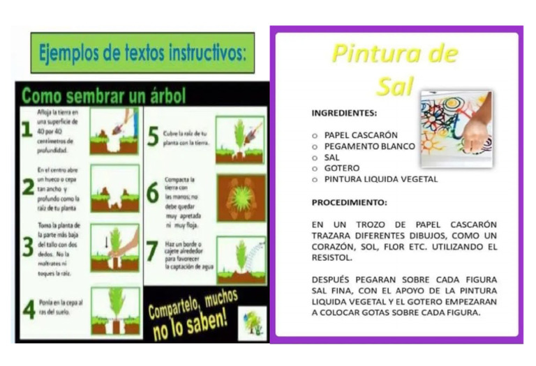 ejemplos de texto instructivo | PDF