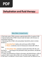 IV Fluid Rate Guidelines in Dogs and Cats Cheat Sheet.01 | PDF ...