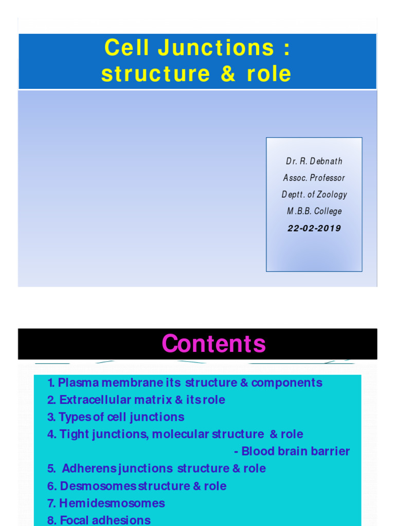 Cell Junctions: Cell Junctions: Structure & Role: Dr. R. Debnath Assoc ...