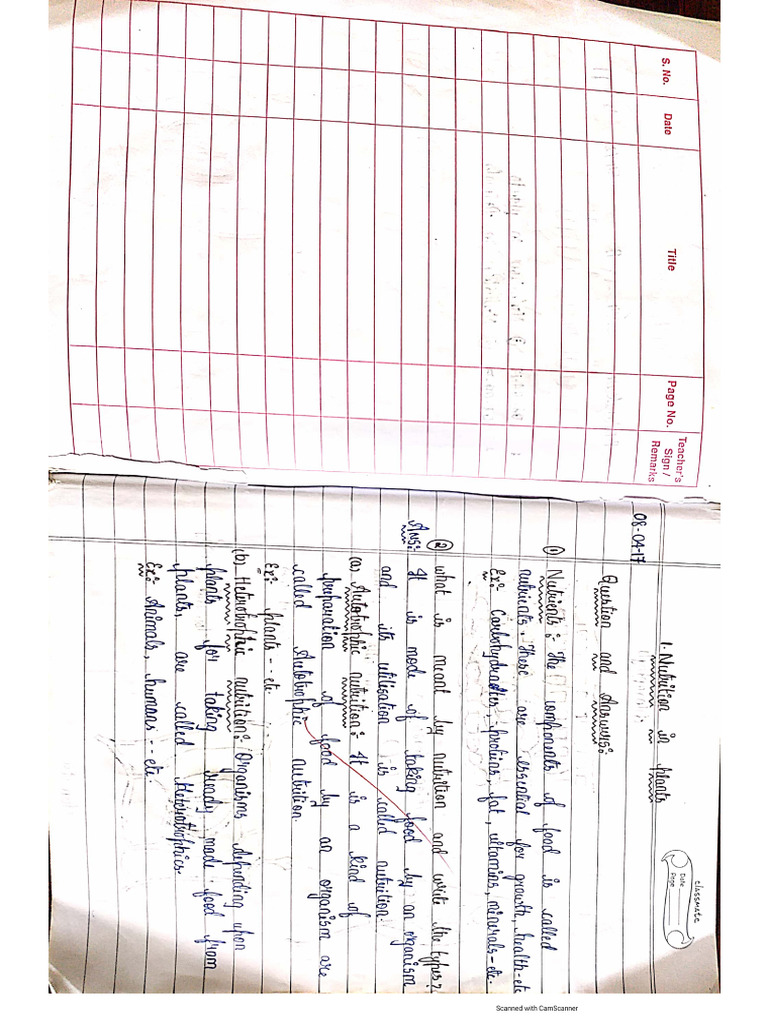 Class 7 Chapter 1and 2 | PDF