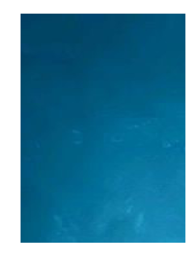 Tarpapel of Rapunzel | PDF