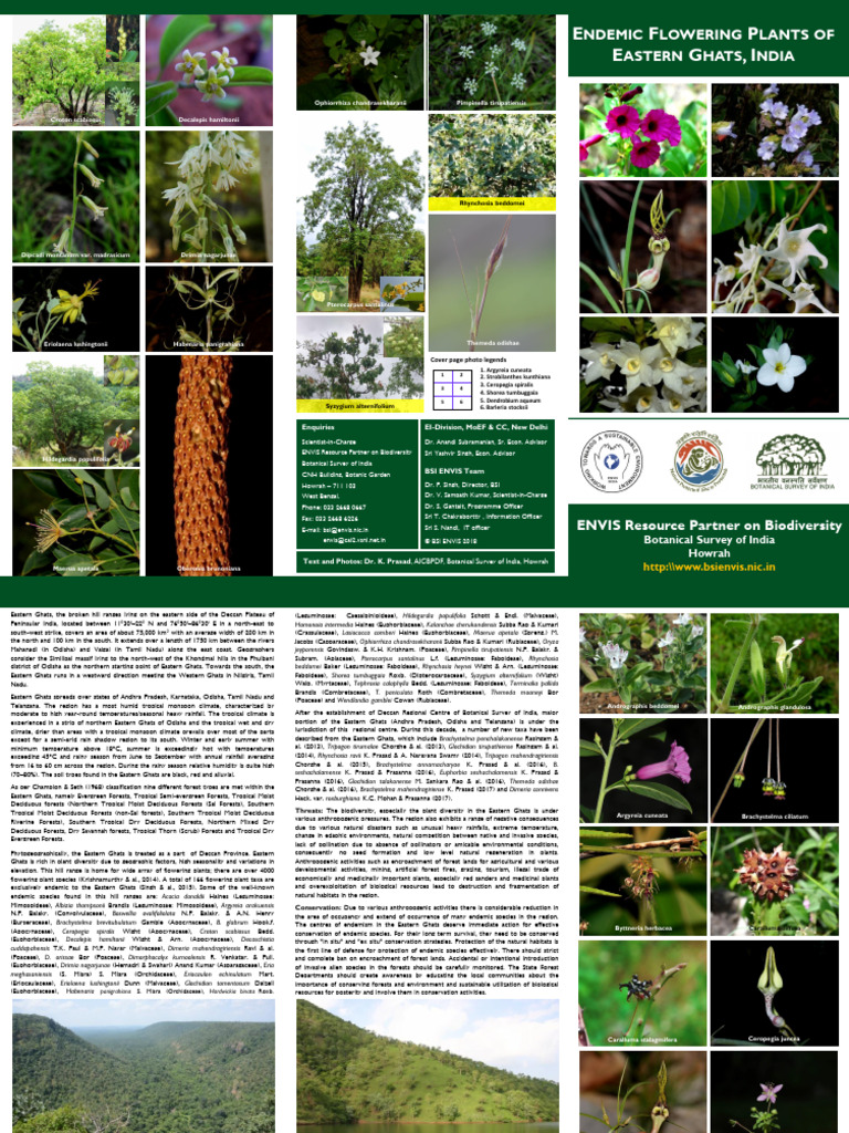 Pamplet - Endemic Flowering Plants of Eastern Ghats, India | Download ...